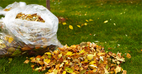 Rogue Disposal and Recycling Leaf Collection Program Returns City of Medford
